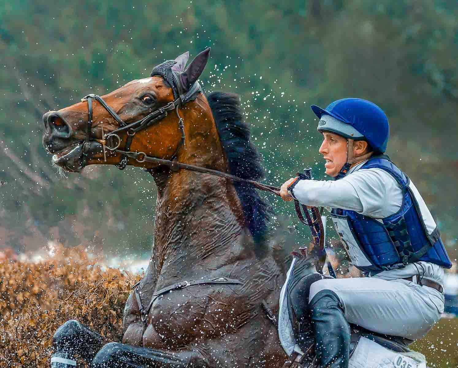 2025 “GLAM” Competition Results | Garstang Camera Club
